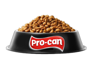 PROCAN ADULTO VEGETALES LIBRA - Mi Mascota Online