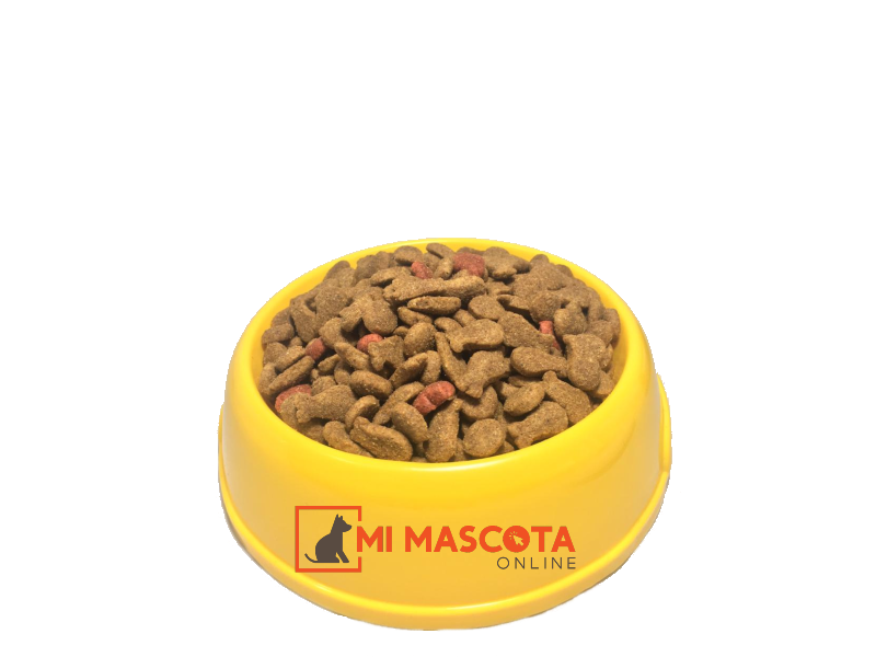 PROCAN ADULTO LIBRA - Mi Mascota Online